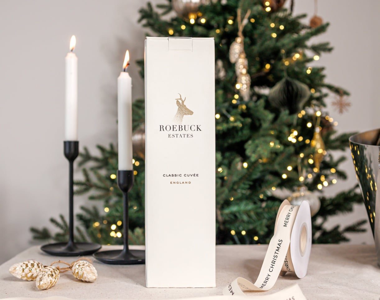 Christmas Shopping Day | Roebuck