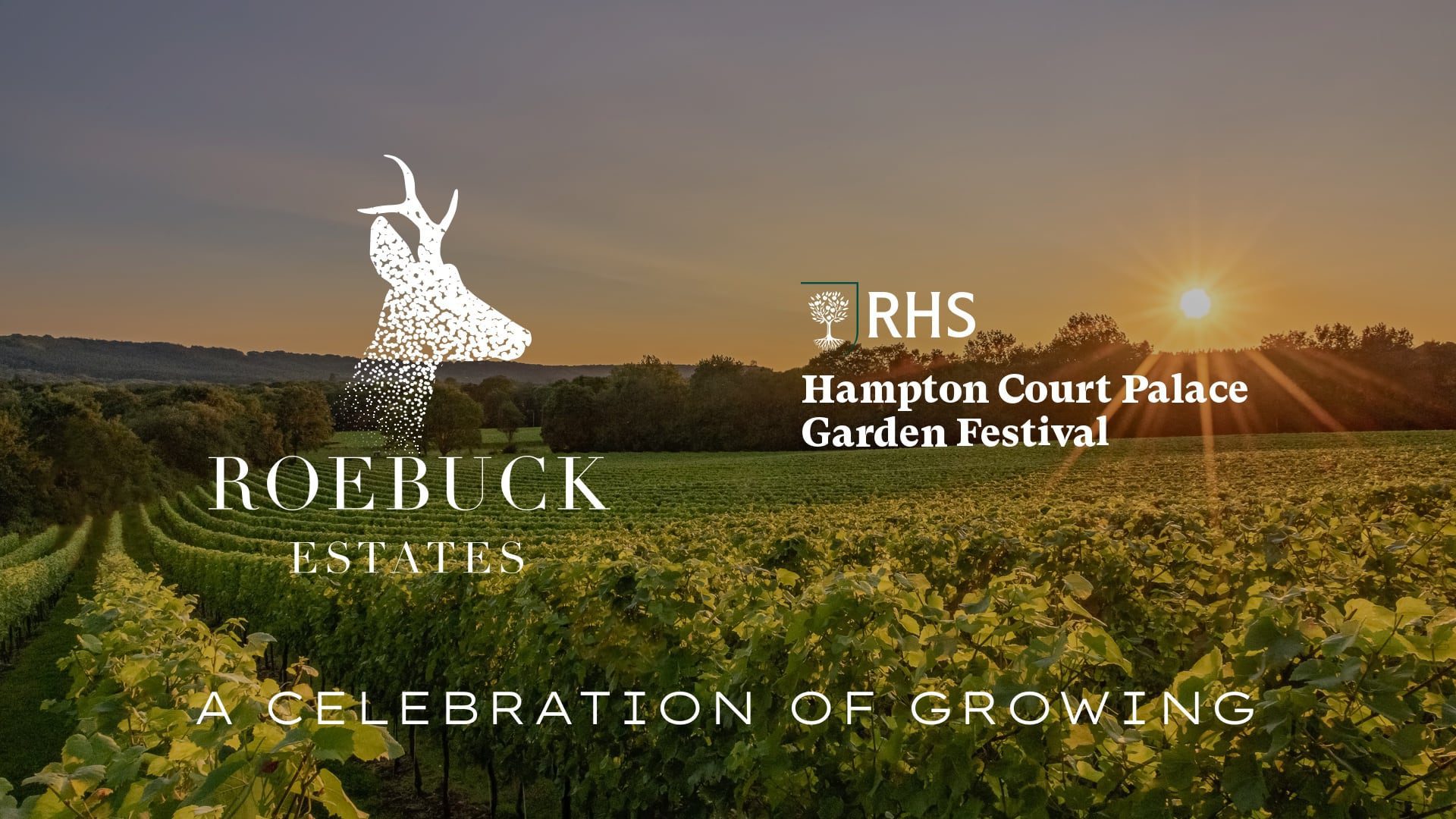 RHS Hampton Court Garden Festival 2025 | Roebuck Estates